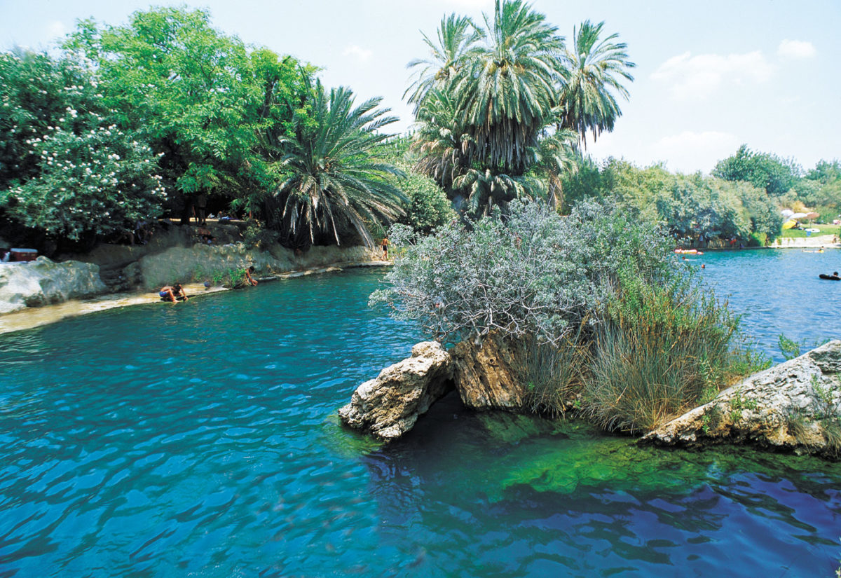 Un pas en avant, un pas en arrière - Beth Chelomo